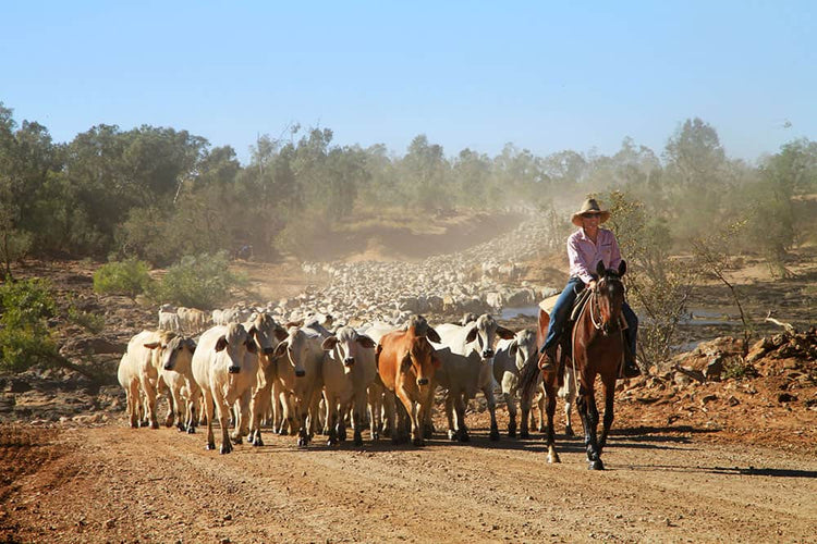 The Meat Club: The Home of the Conscious Carnivore